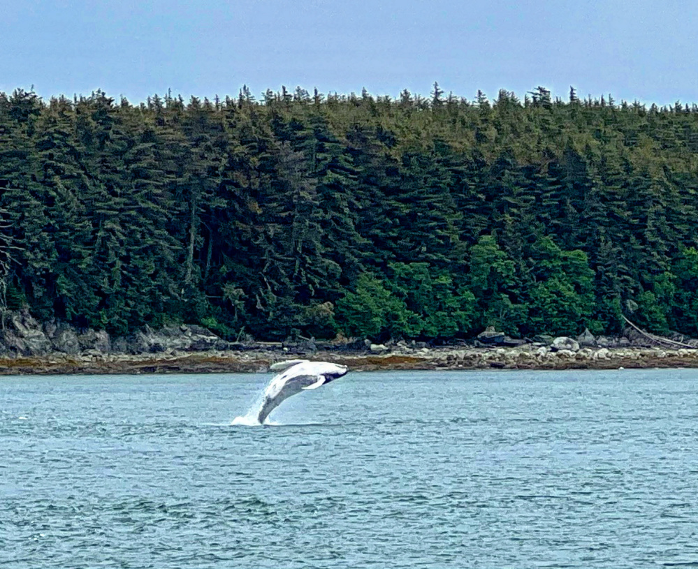 TRIP REPORT: Juneau Lighthouse Tours - Alaska Travelgram