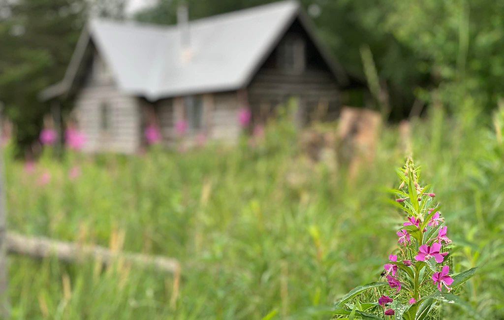 Hope, Alaska Trip Report: Eat, Stay, Fun - Alaska Travelgram