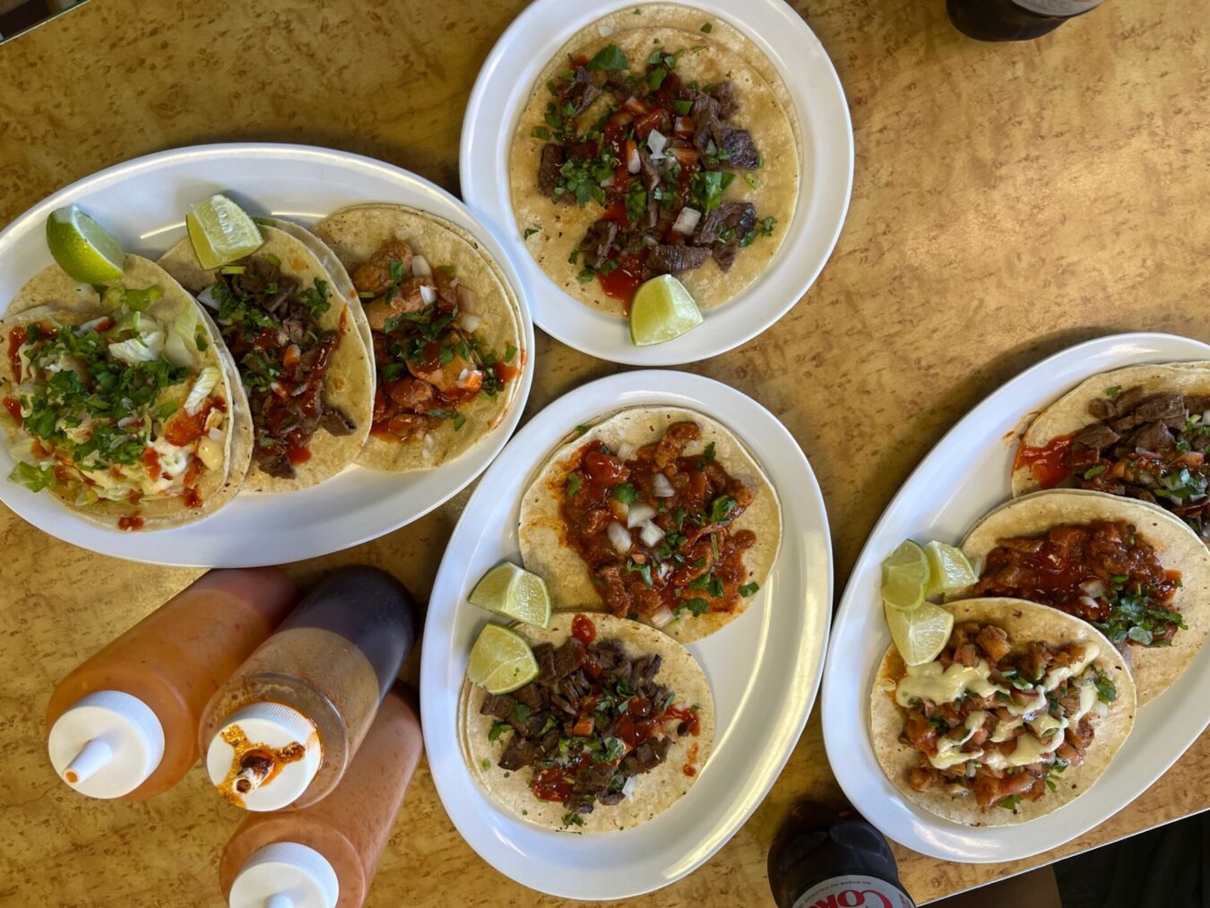Katie shares sea shells down by the sea shore in Seaside, Oregon (TRIP ...
