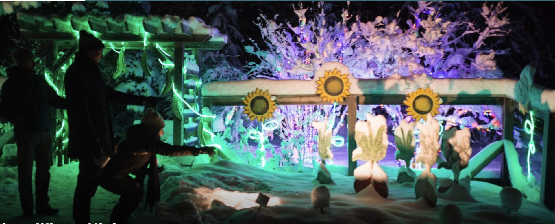 Join us for "Heyi Days" in Anchorage - Alaska Travelgram